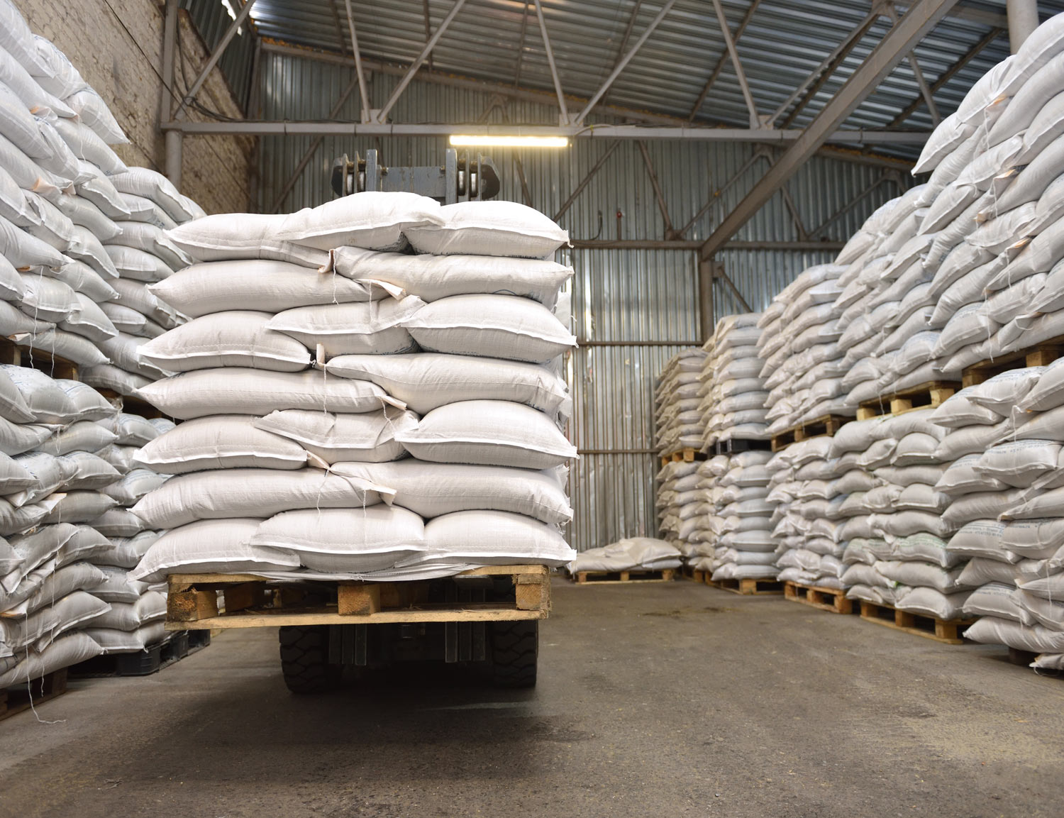 Seeds & Food Grains | TCI Freight