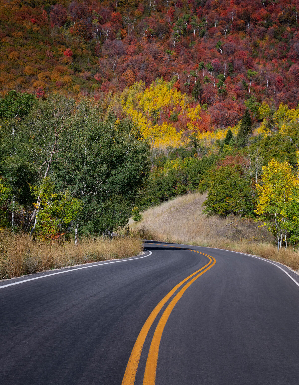 TCI Freight – Surface Transport Solutions by TCI